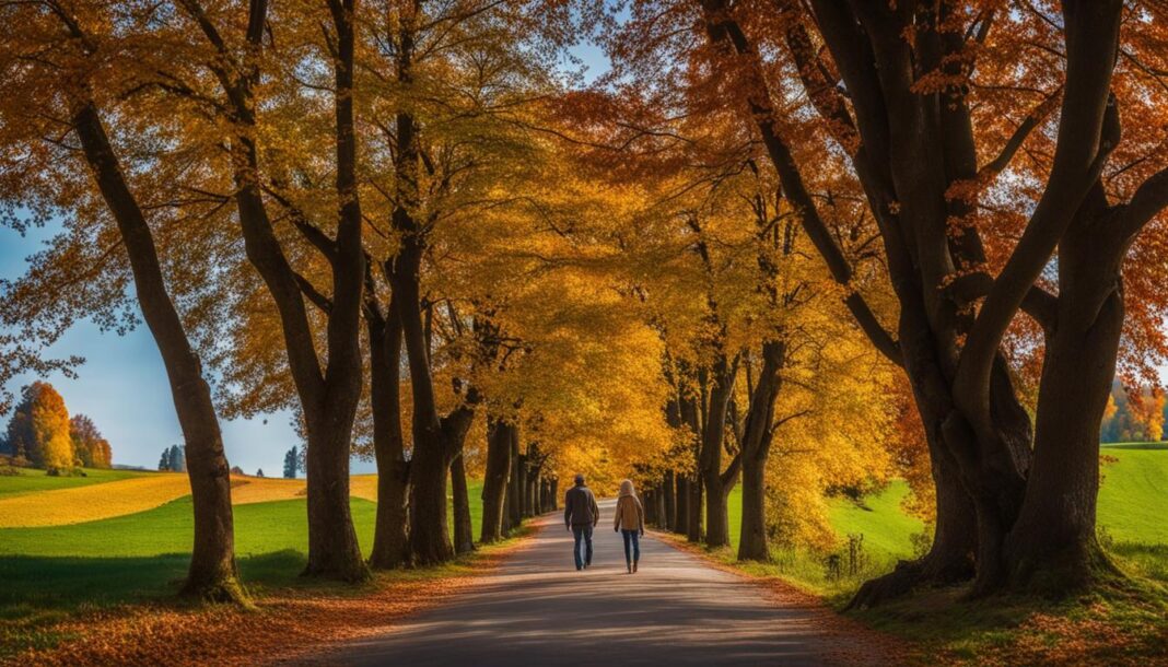 Ideal Time To Visit Poland For Great Weather & Less Crowds