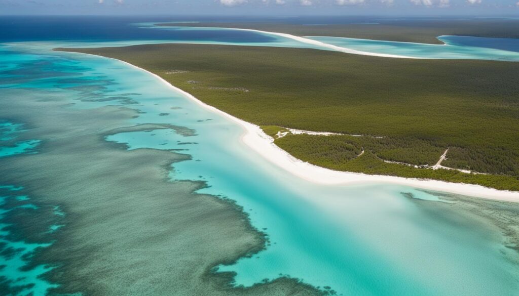 Explore Your 5-Day Anegada Itinerary Guide