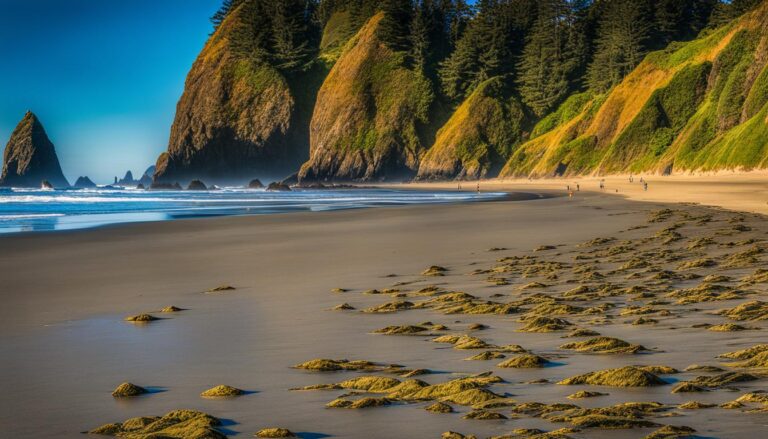 Top 10 Oregon Attractions: Best Places To Visit