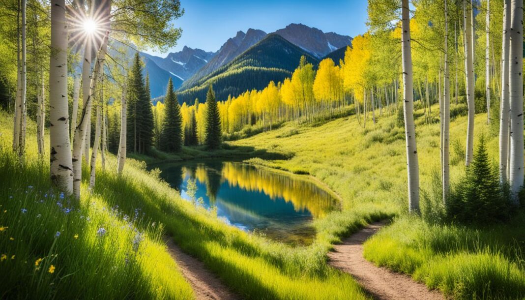 Aspen Hiking Trails With Stunning Views | Top Picks