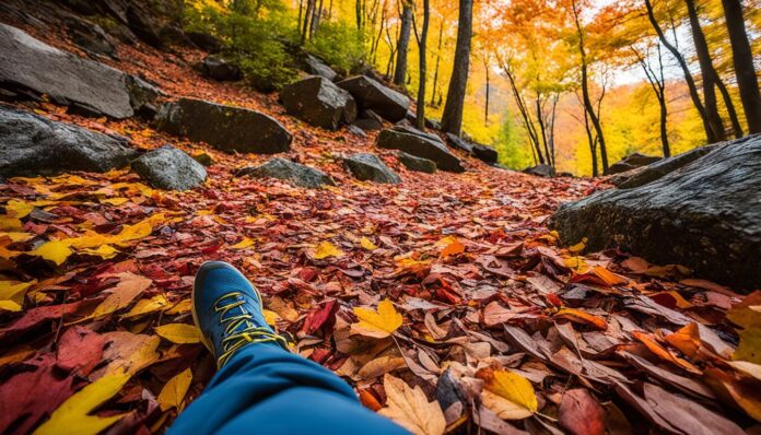 Top Day Hikes Near Springfield | Outdoor Trails Guide
