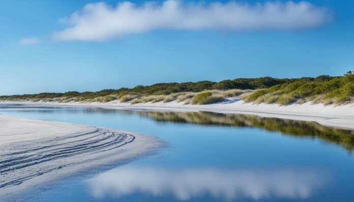 Discover Back Bay National Wildlife Refuge Tours