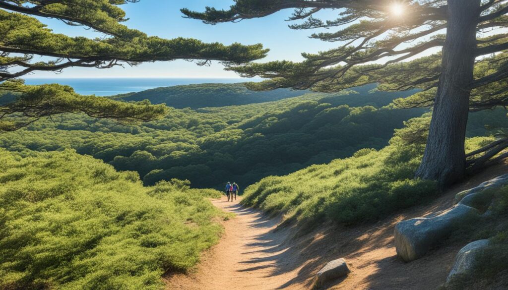 Best Martha's Vineyard Hikes with Amazing Views