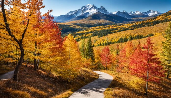Best Fall Foliage Hikes In Colorado Springs