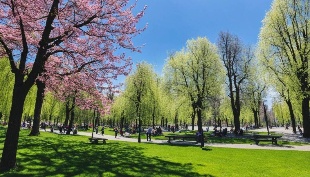 Best Time To Visit Cluj-Napoca? Ideal Seasons & Tips