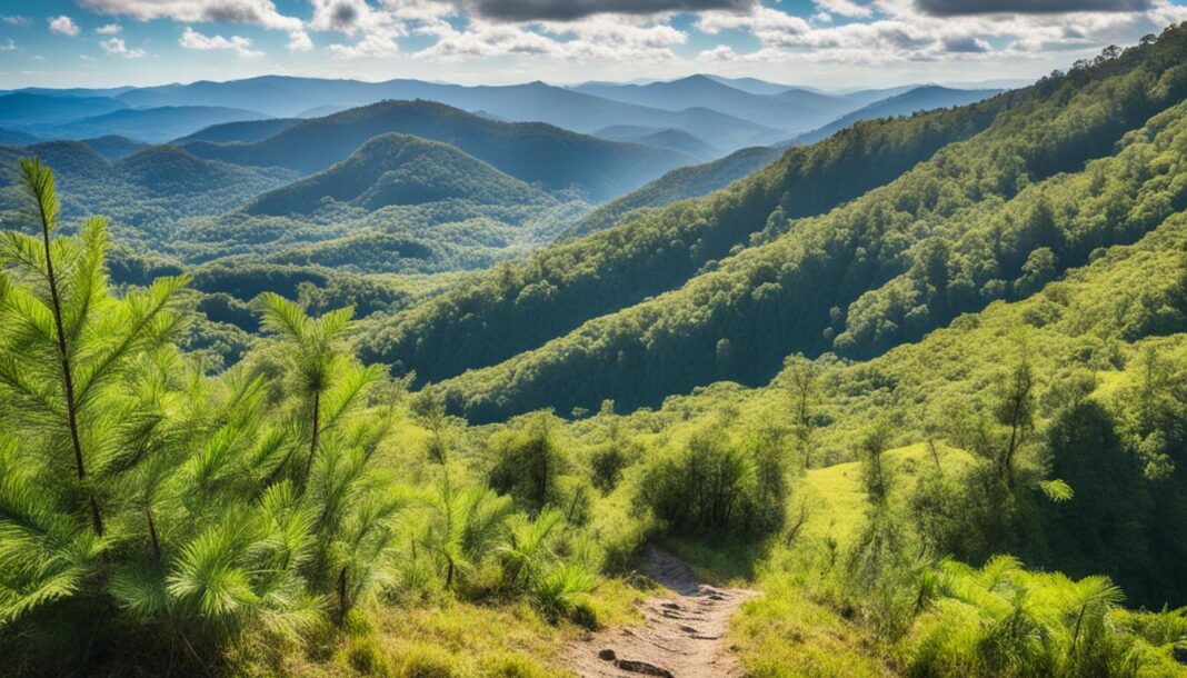 Experience Nature: Urpín Hill Hikes Guide