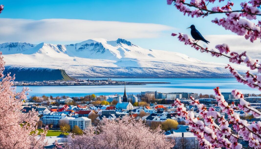 Best Time To Visit Reykjavik? Find Out Here!