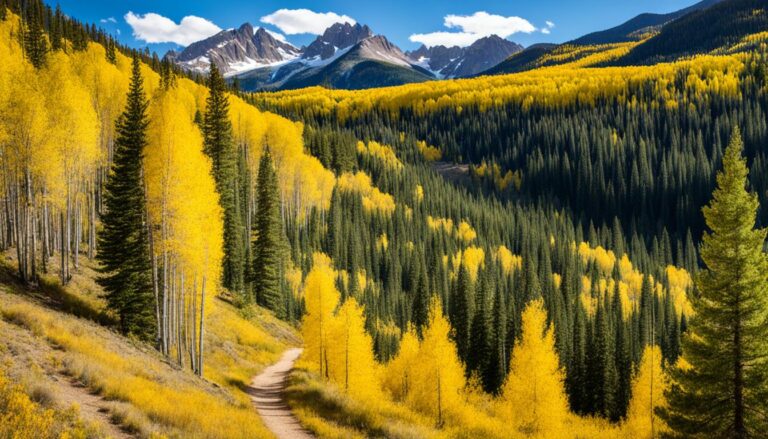 Provo Fall Foliage Hikes: Best Autumn Trails