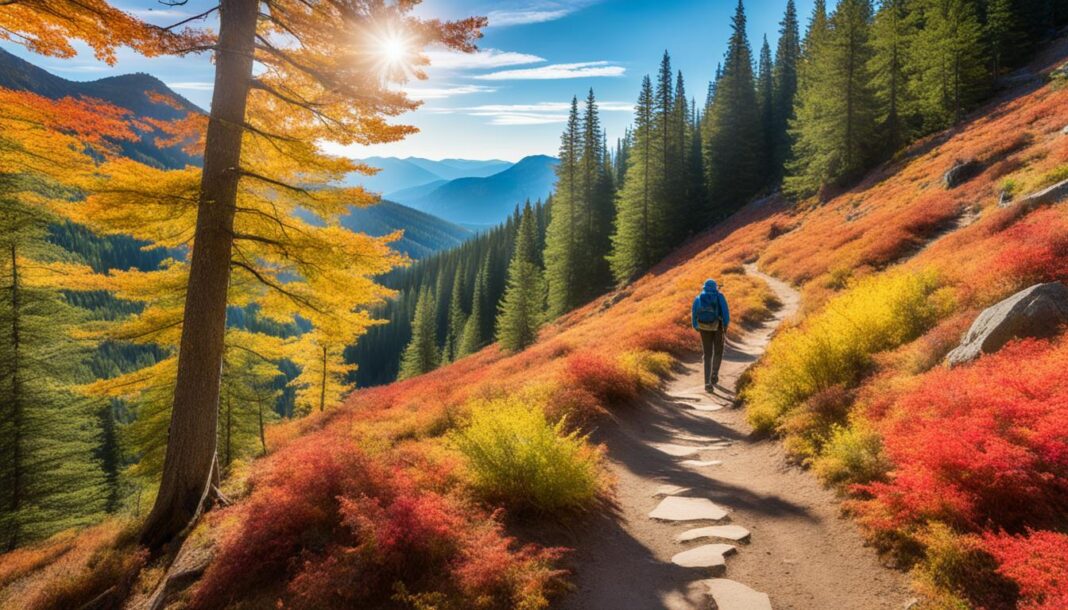 Provo Fall Foliage Hikes: Best Autumn Trails