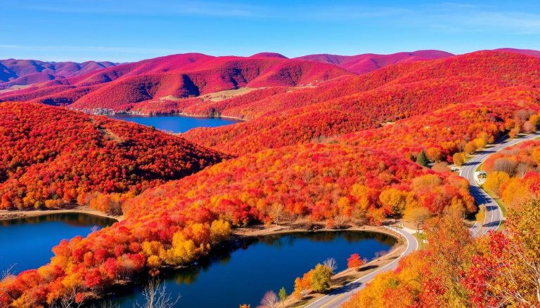Branson Fall Foliage Tours: Autumn's Best Views